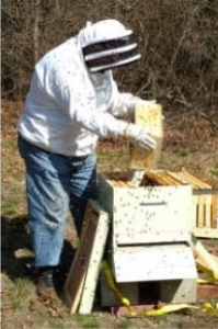 Stevens Memorial Library